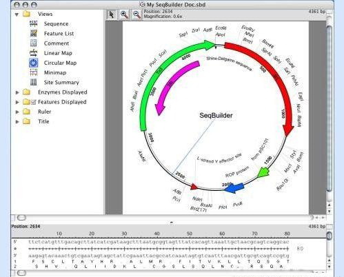 dnastar下载-dnastar中文版下载[DNA分析设计]-pc下载网