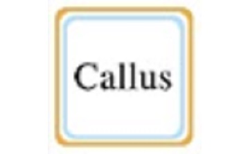 Callus官方版-Callus绿色免费版-Callus官方版 1.0-PC下载网