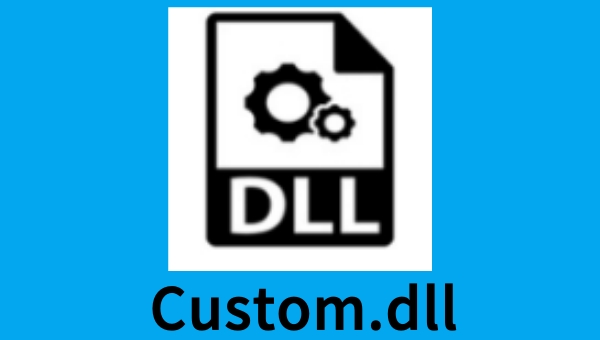 Custom.dll下载-Custom.dll电脑版下载[程序文本]-PC下载网